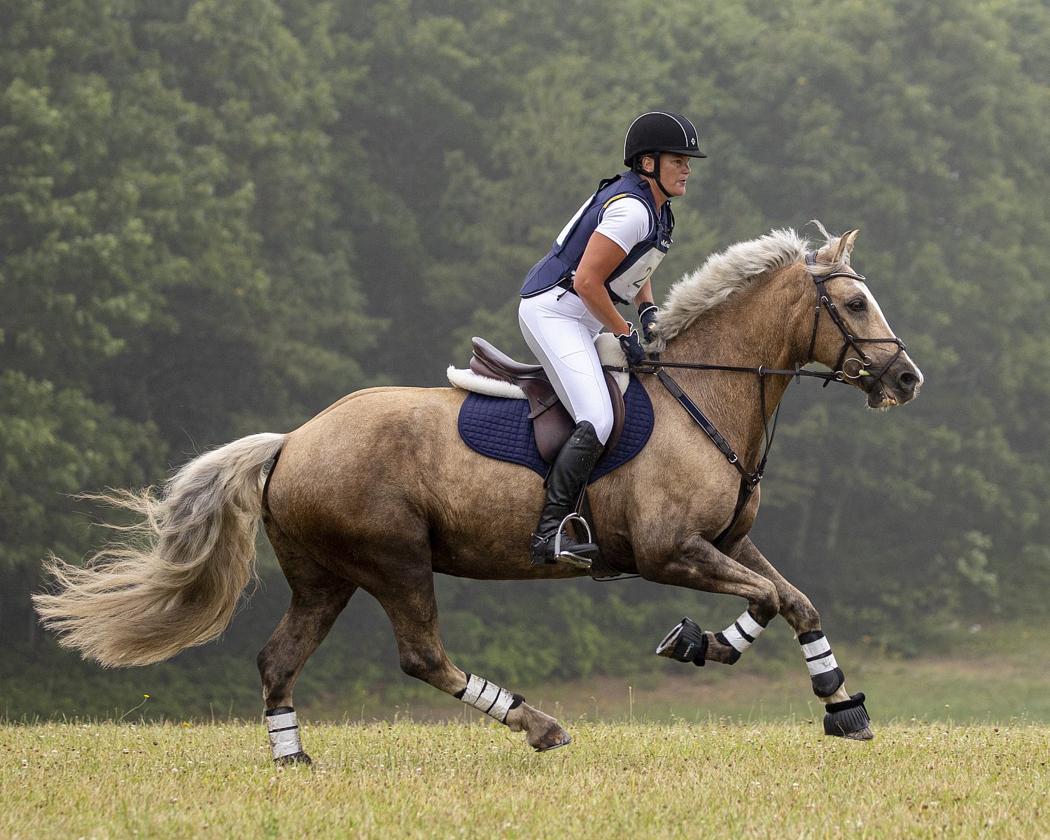 Valinor Farm Horse Trials June 2024 - Proofs - 2024 Competition Proofs ...