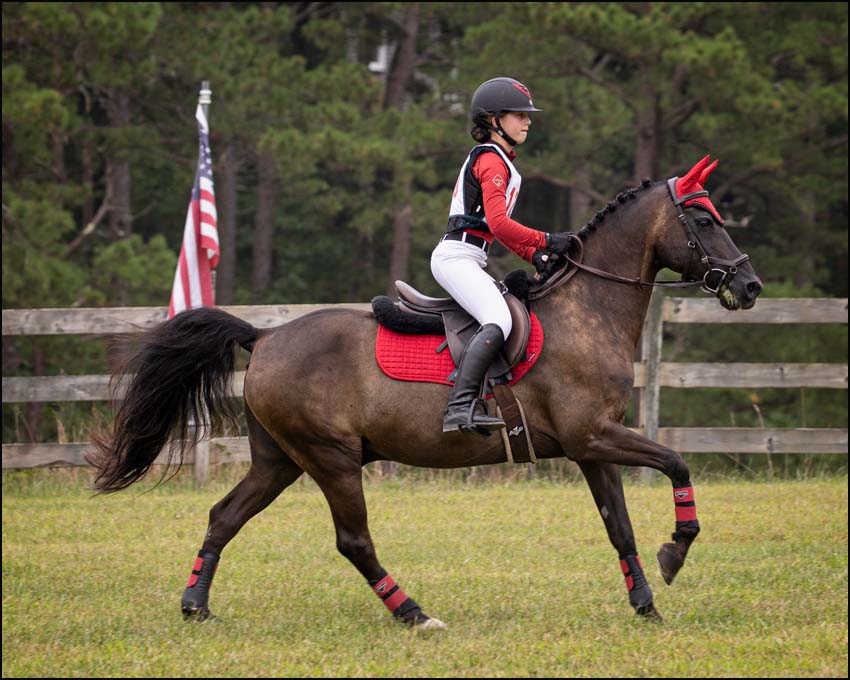 Valinor Farm August Schooling Horse Trials - Proofs - 2024 Competition ...