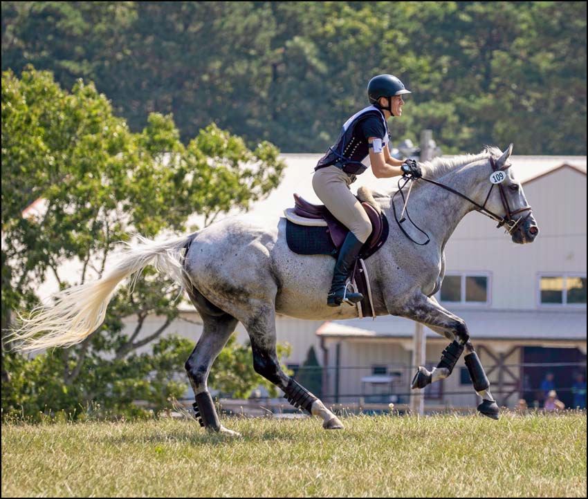 Valinor Farm August Schooling Event - Proofs - 2025 Competition Proofs ...